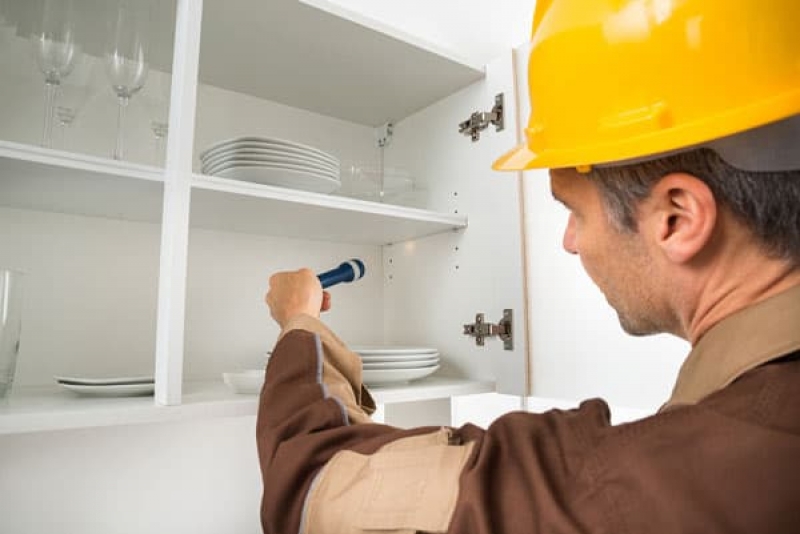 Las Vegas Pest Inspections | Flatliners Pest Control