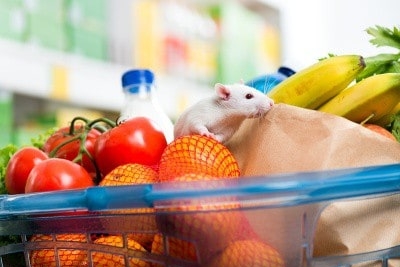 Pest Control For Retail Stores | Las Vegas, NV | Flatliners Pest Control